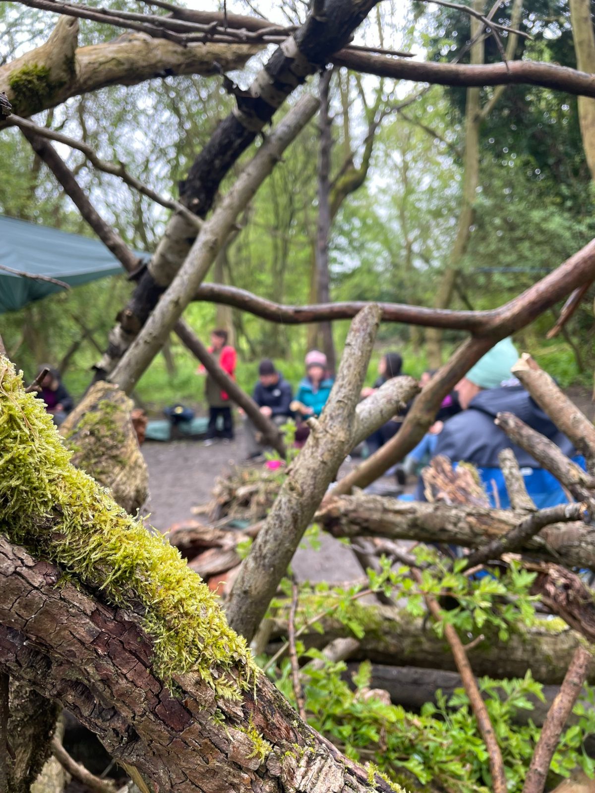 Rooted Together - Rewilding Communities